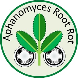 AphanomycesRootRotMedallion | Plant Disease Diagnostics Clinic