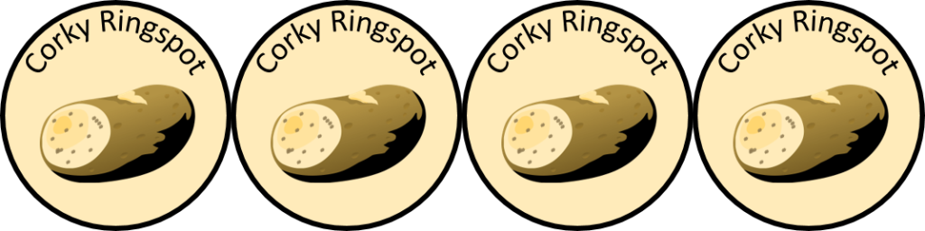 Corky Ringspot Quiz | Plant Disease Diagnostics Clinic