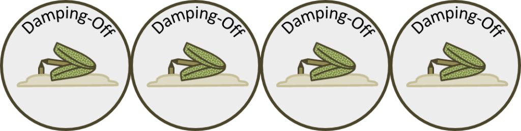 Damping-Off Quiz | Plant Disease Diagnostics Clinic