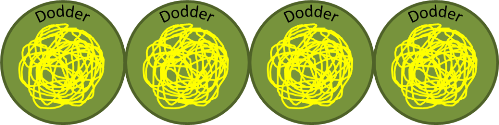 Dodder Quiz | Plant Disease Diagnostics Clinic