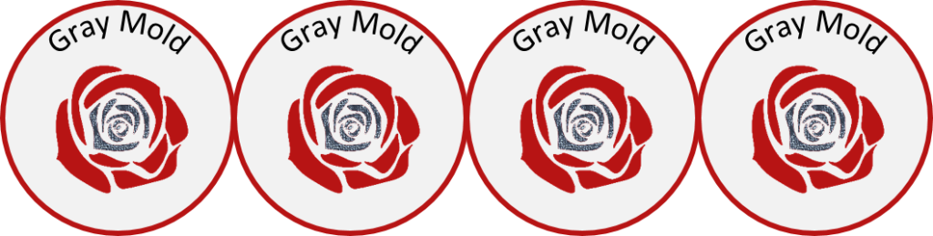 Gray Mold (Botrytis Blight) Quiz | Plant Disease Diagnostics Clinic