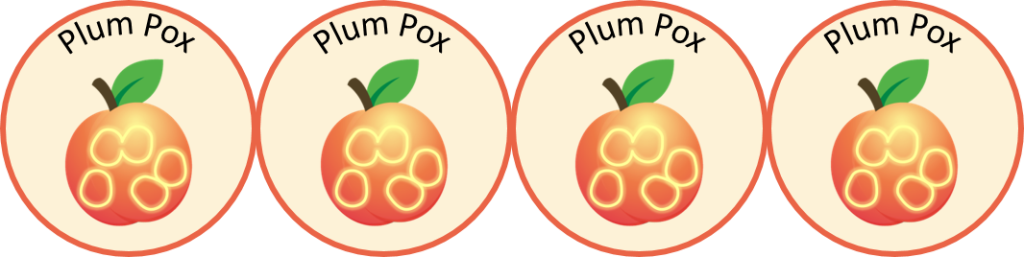 Plum Pox Quiz | Plant Disease Diagnostics Clinic