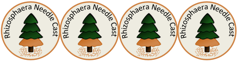 Rhizosphaera Needle Cast Quiz | Plant Disease Diagnostics Clinic