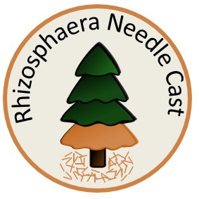 RhizosphaeraNeedleCastMedallion | Plant Disease Diagnostics Clinic