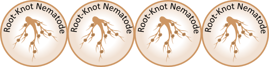Root-Knot Nematode Quiz | Plant Disease Diagnostics Clinic