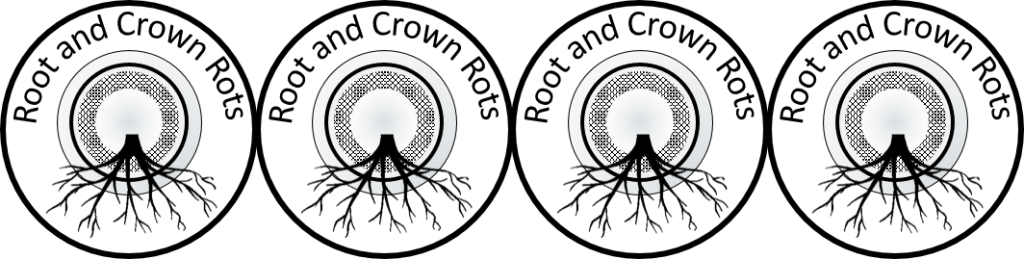 Root and Crown Rots Quiz | Plant Disease Diagnostics Clinic