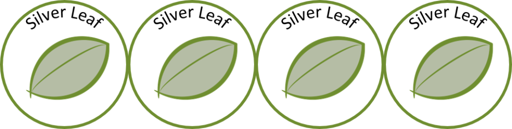 Silver Leaf Quiz | Plant Disease Diagnostics Clinic