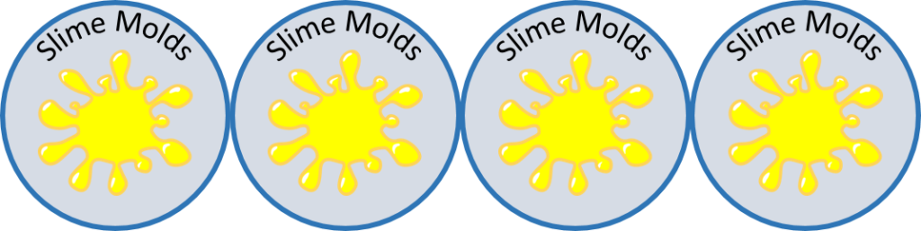 Slime Molds Quiz | Plant Disease Diagnostics Clinic