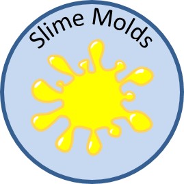 SlimeMoldsMedallion | Plant Disease Diagnostics Clinic