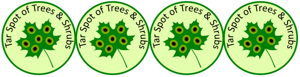 Tar Spot of Trees and Shrubs Quiz | Plant Disease Diagnostics Clinic