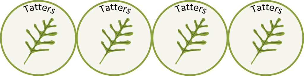 Tatters Quiz | Plant Disease Diagnostics Clinic