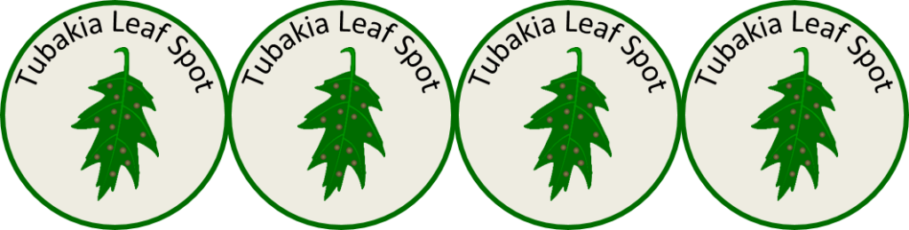 Tubakia (Actinopelte) Leaf Spot Quiz | Plant Disease Diagnostics Clinic